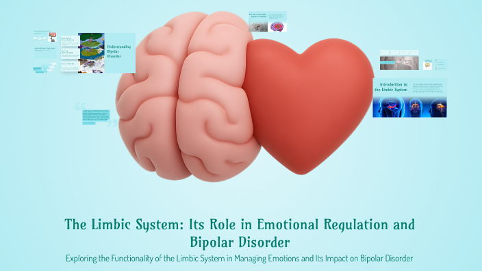 The Limbic System: Its Role in Emotional Regulation and Bipolar ...