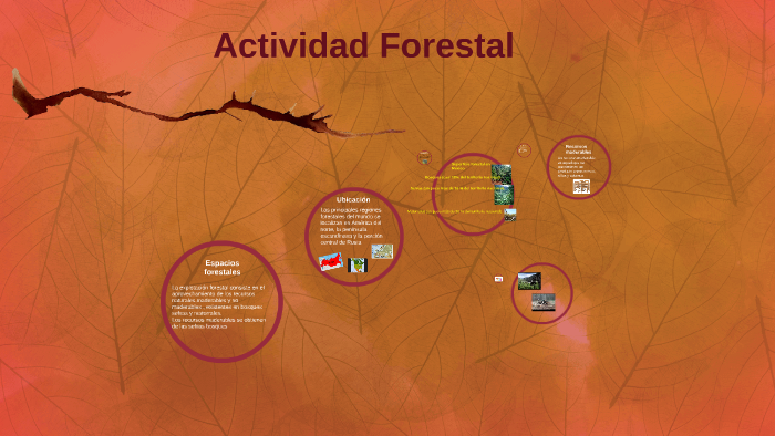 Actividad Forestal by Jessica Nolasco on Prezi