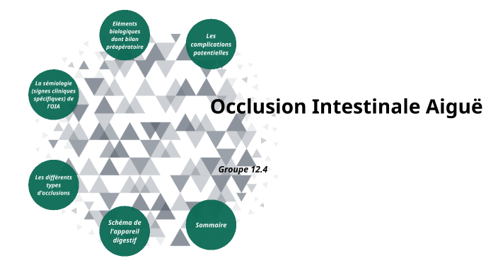 Occlusion Intestinale Aiguë by Kévin Desmettre on Prezi