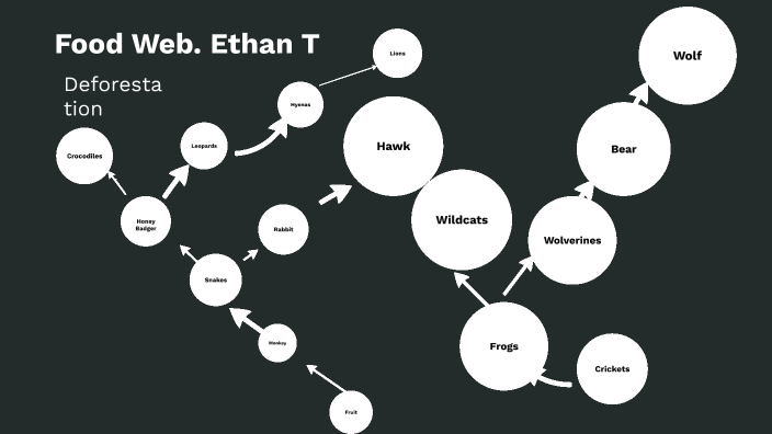 Ethan Food web by ethan teeling on Prezi