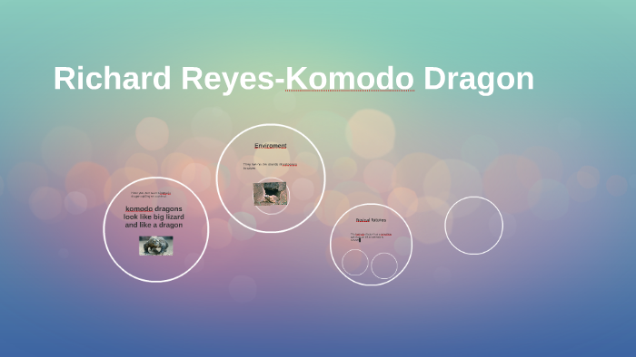 Richard Reyes-Komodo Dragon by Nikki Miller