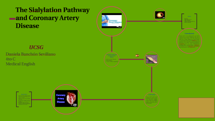 The Sialylation Pathway and Coronary Artery Disease by Daniela Banchon ...