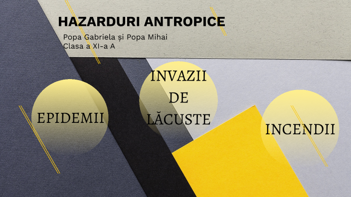 Hazarduri antropice: epidemii, invazii de lăcuste, incendii by Gabriela ...