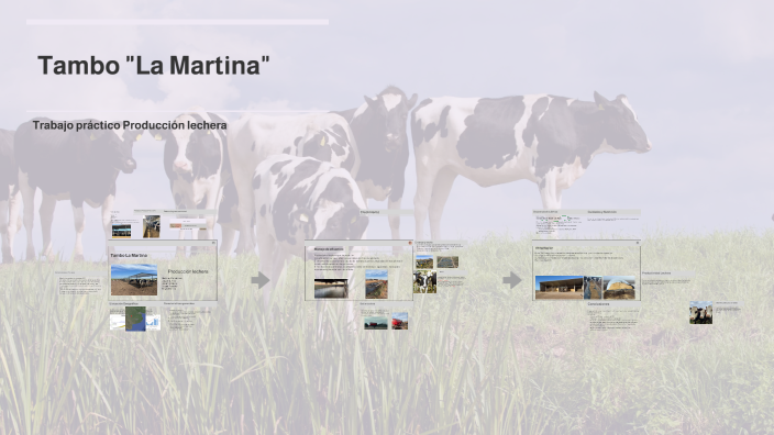 El Tambo Lechero: La Martina by candelaria molinari on Prezi