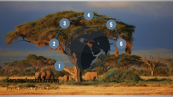 Sommerfeuchte tropen by joy on Prezi