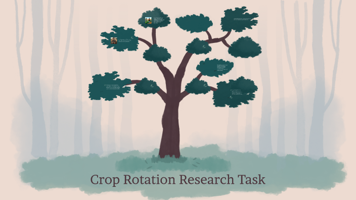 Crop Rotation Research Task by Lachlan R on Prezi