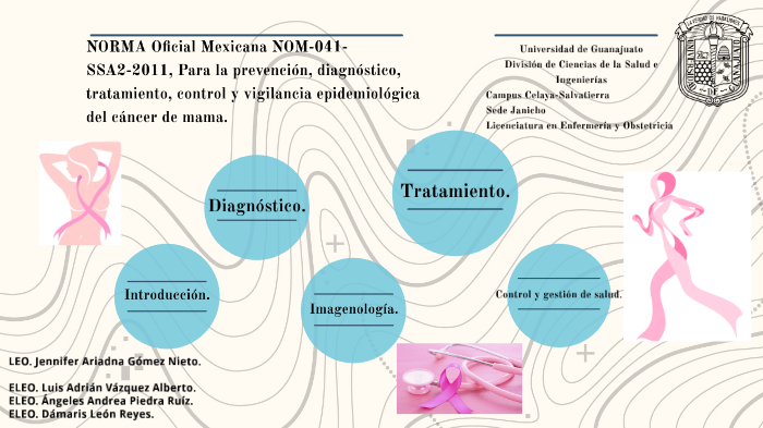 Norma Oficial Mexicana Nom 041 Ssa2 2011 Para La Prevención
