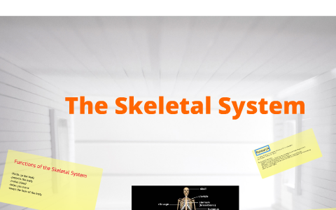 Skeletal System Presentation by Alex Cvik on Prezi