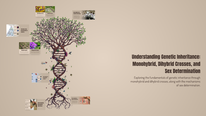 Understanding Genetic Inheritance: Monohybrid, Dihybrid Crosses, and ...