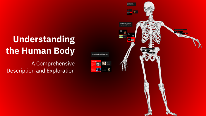 Understanding the Human Body by Linh Luong on Prezi