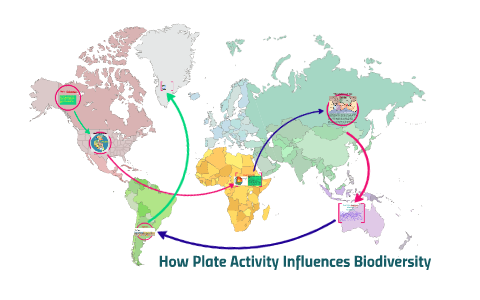 How Plate Activity Influences Biodiversity by Nishtha Singh on Prezi