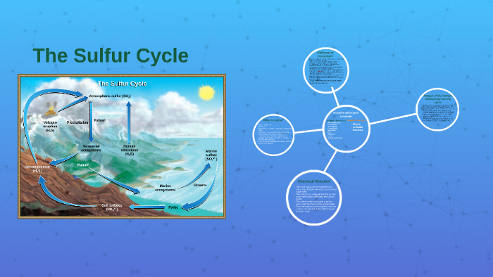 The Sulfur Cycle by Anna Preblud on Prezi