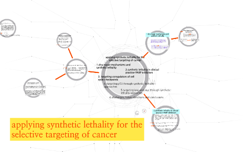 applying synthetic lethality for the selective targeting of by 동희 이 on Prezi