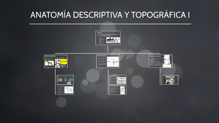 ANATOMÍA DESCRIPTIVA Y TOPOGRÁFICA I by Matias Villalba on Prezi