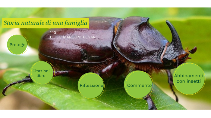 STORIA NATURALE DI UNA FAMIGLIA by Viola Giovannini on Prezi
