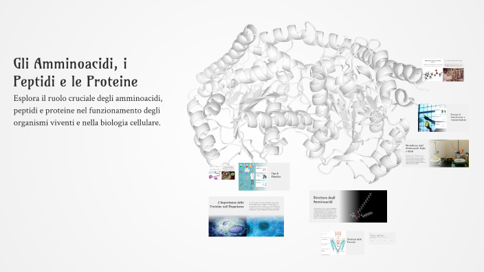 Gli Amminoacidi, i Peptidi e le Proteine by Monica Bartolini on Prezi