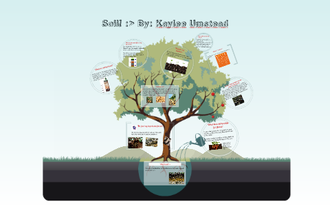Soil! :> by Kaylee Umstead on Prezi