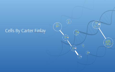 Cells by Carter Finlay on Prezi