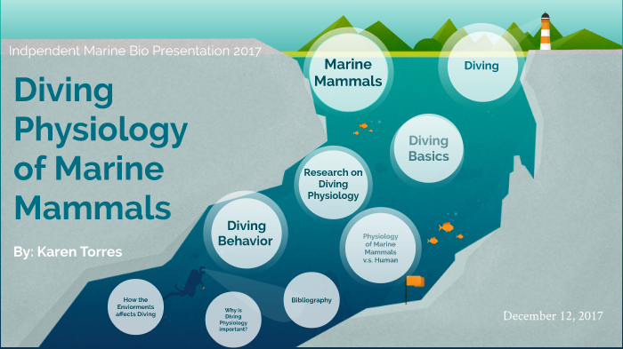 Diving Physiology of Marine Mammals by Karen Torres on Prezi