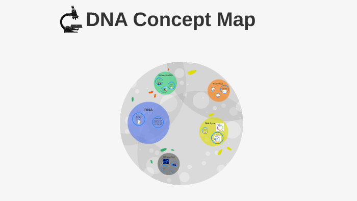 DNA Concept Map by Jonas Funkhouser on Prezi