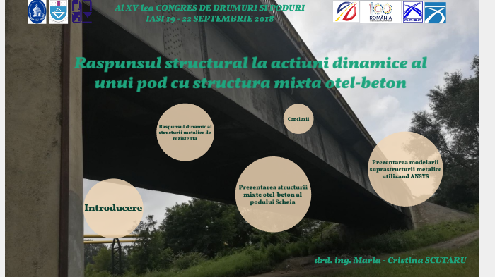 Raspunsul structural la actiunea dinamica a unui pod cu structura mixta ...
