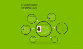 Southern Colonies Slavery Plantations