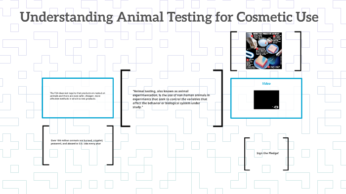 Understanding Animal Testing for Cosmetic Use by Tori Karlovits on Prezi
