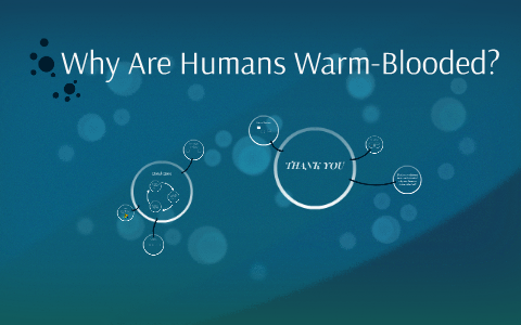 Why Are Humans Warm-Blooded? by 8200560 Merici on Prezi