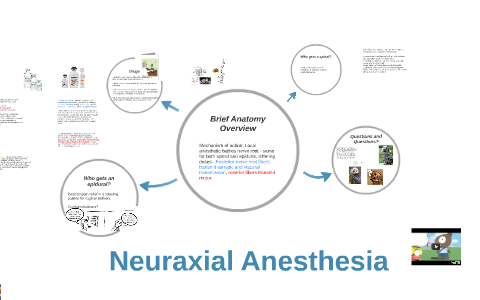 Neuraxial Anesthesia by jason brown on Prezi