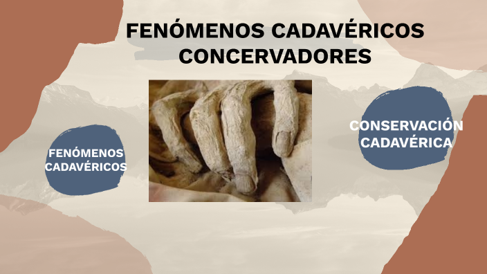 FENÓMENOS CADAVÉRICOS CONSERVADORES by Andrea Cervantes on Prezi