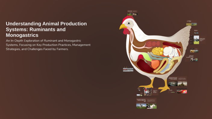 Understanding Animal Production Systems: Ruminants and Monogastrics by ...