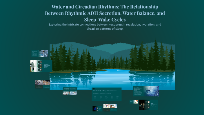 Water and Circadian Rhythms: The Relationship Between Rhythmic ADH ...