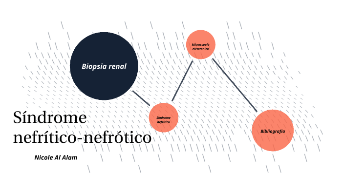 sindrome nefriticio-nefrotico by Nicole Al Alam on Prezi