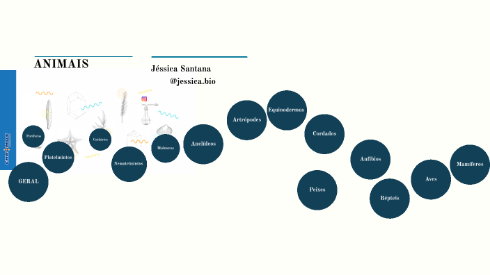 REINO ANIMAL 1ª SÉRIE by jessica santana on Prezi