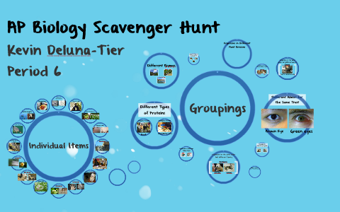 AP Biology Scavenger Hunt by Kevin Deluna-Tier on Prezi