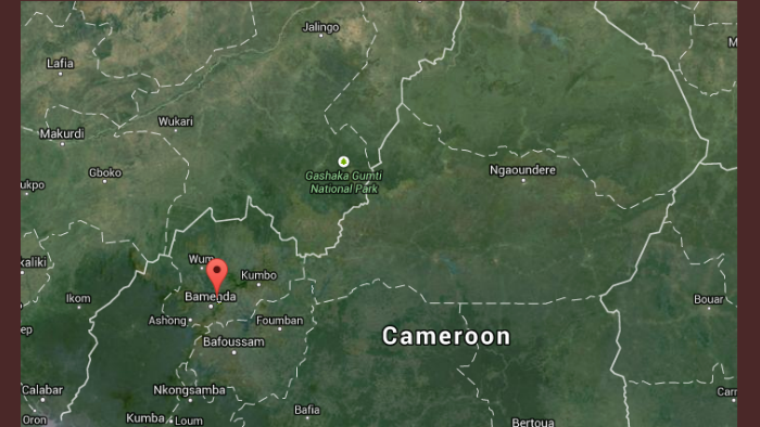 Road To Bambui Cameroo by mahmoud el-ali on Prezi