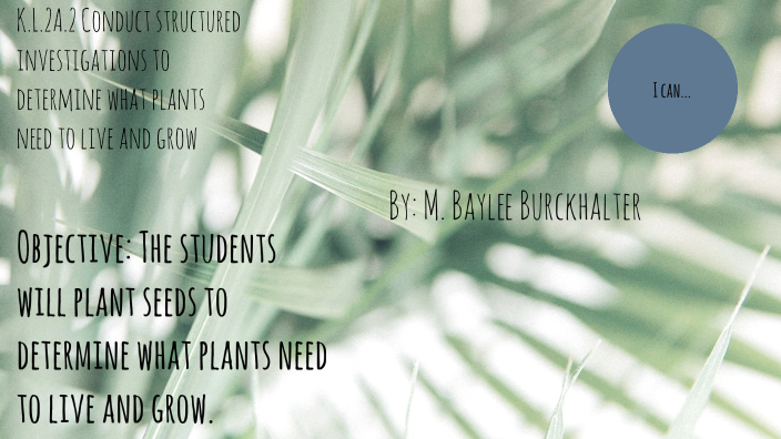 Prezi Model Lesson by madison burckhalter on Prezi