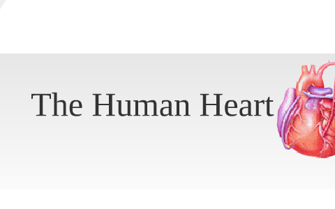Alysha Carter - The Human Body by mandy billing on Prezi