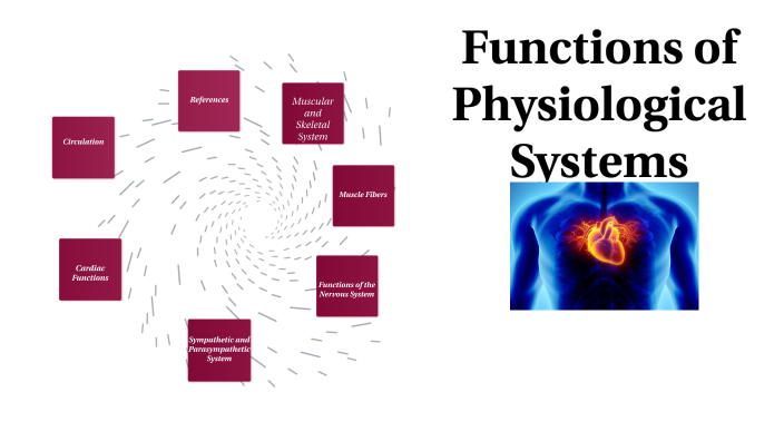 Physiological Systems by Niko Ifopo on Prezi