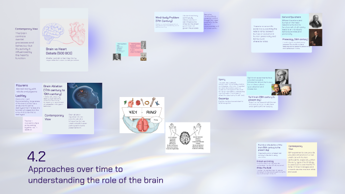 timeline of neurology by Joelle S AP023437 on Prezi