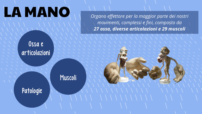 Presentazione Mano e Polso by Chiara Pascarelli on Prezi