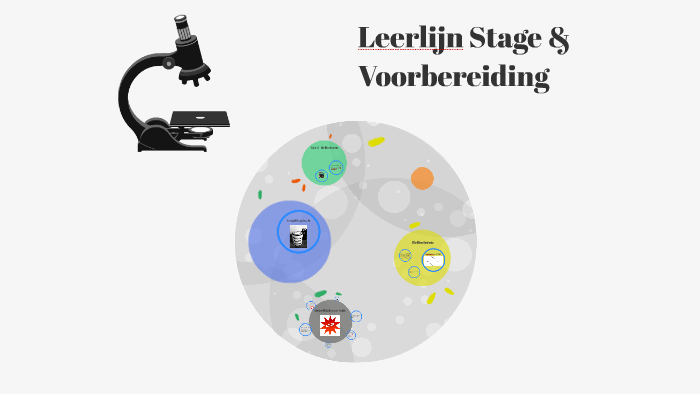 Leerlijn Stage & Voorbereiding by Howie the Harp on Prezi