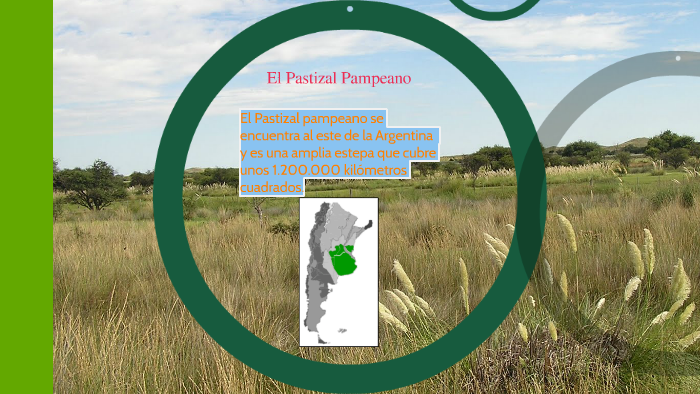 El Pastizal pampeano se encuentra al este de la Argentina y by Juan ...