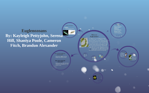 Euglenozoans by Cleveland Crazies on Prezi