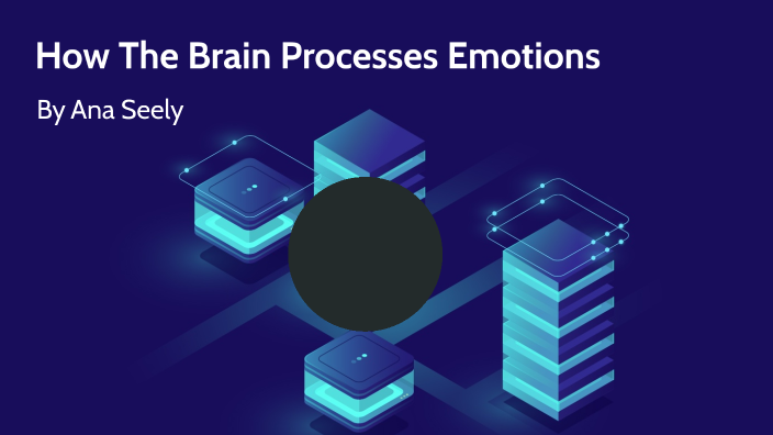 How the brain processes emotions/ by Ana Seely on Prezi