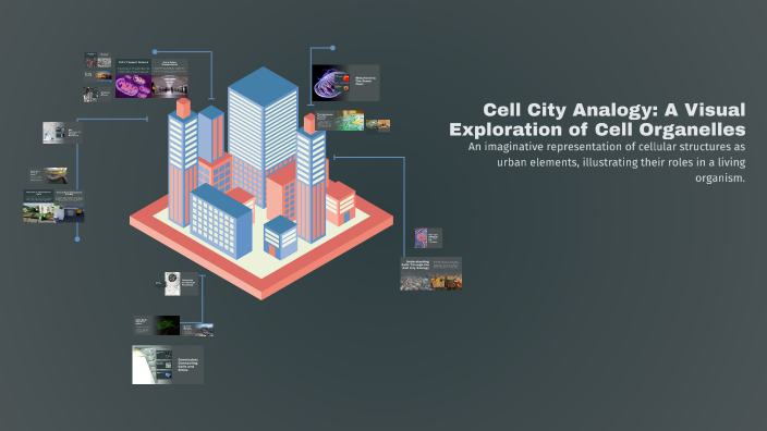 Cell City Analogy: A Visual Exploration of Cell Organelles by Erick Cai ...