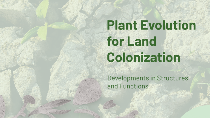 Plant Evolution for Land Colonization by Nadia Davey on Prezi