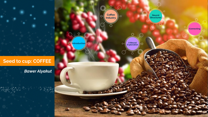 Farm to Cup; Story of the Coffee by ba al on Prezi