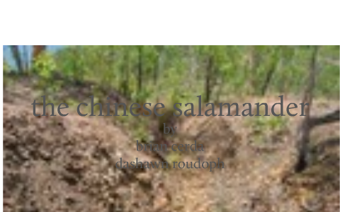the chinese salamander by brian cerda on Prezi