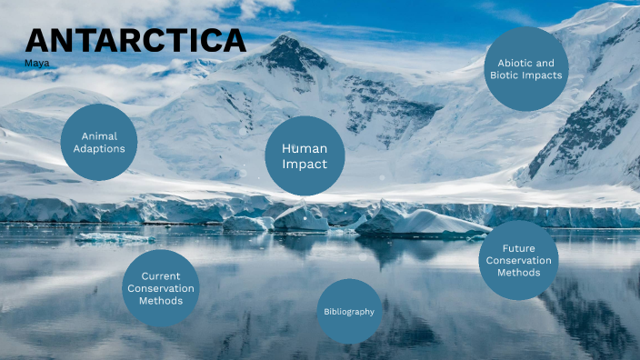 antarctica by Maya :) Simpson on Prezi